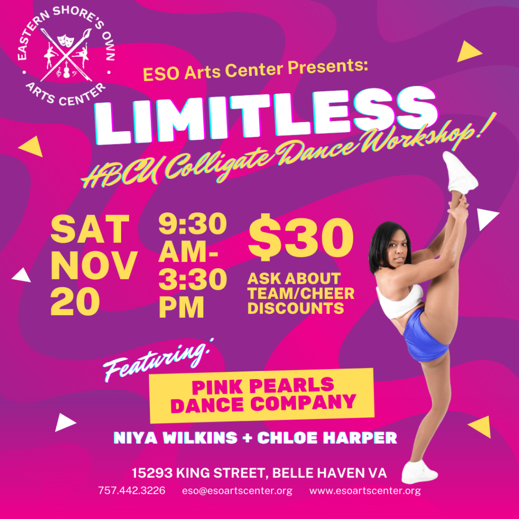 DJ Party Music Concert Instagram Post | Eastern Shore's Own Art Center